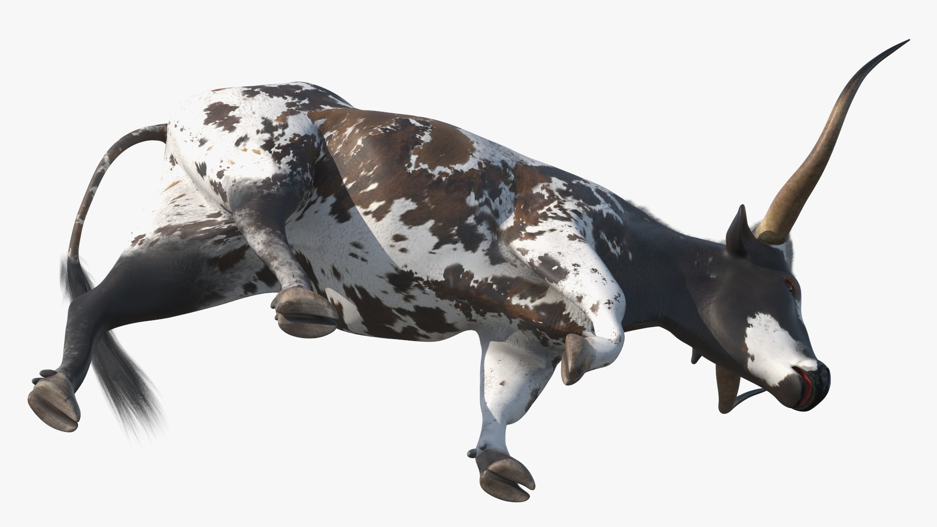 3D Mottled Brown Longhorn Bull Walking Pose - TurboSquid 2181320