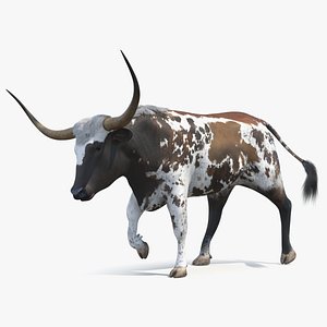 3D Bull Models - Browse & Download Formats - TurboSquid