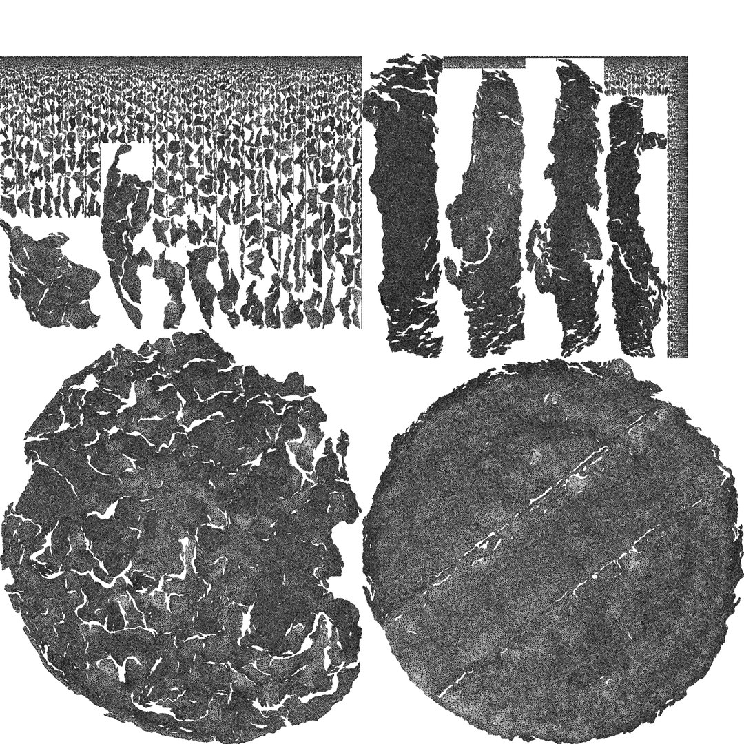 3D Photogrammetry Frozen Pizza LOD set - TurboSquid 2005380