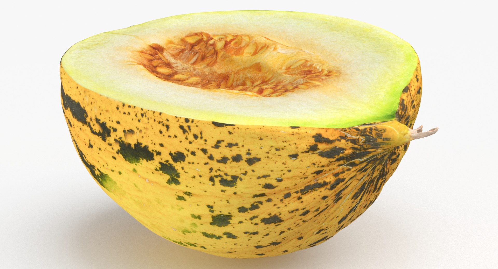 3D Model Turkish Melon 01 Half - TurboSquid 1967268