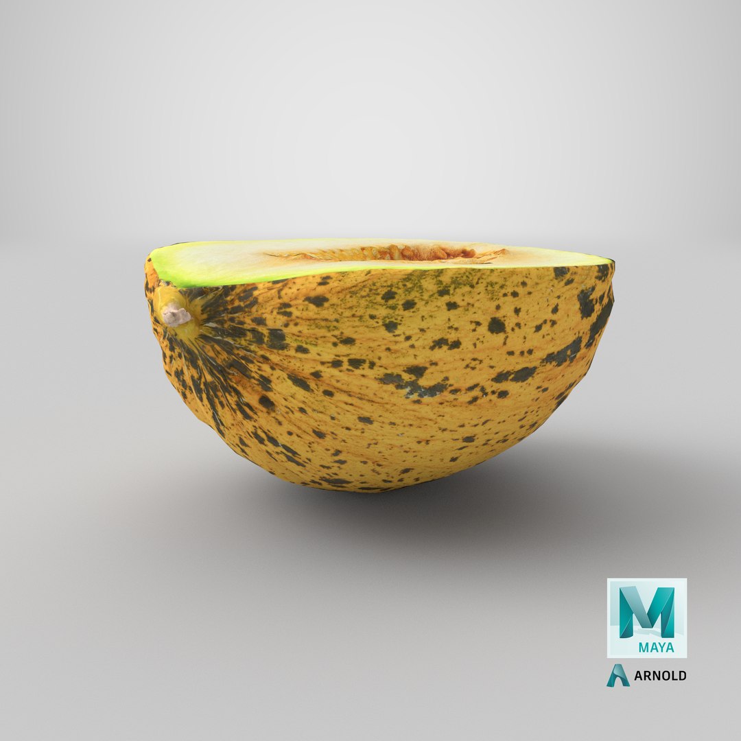 3D Model Turkish Melon 01 Half - TurboSquid 1967268