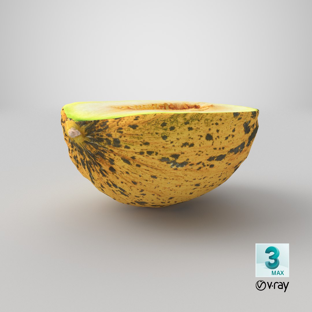 3D Model Turkish Melon 01 Half - TurboSquid 1967268