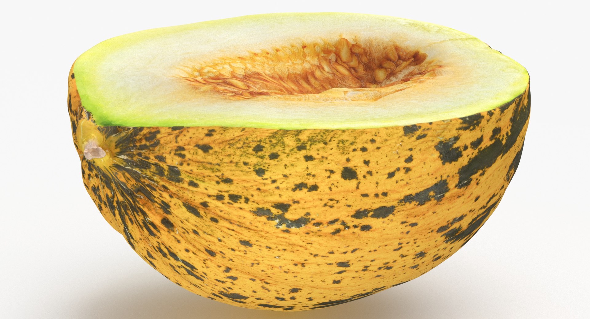 3D Model Turkish Melon 01 Half - TurboSquid 1967268