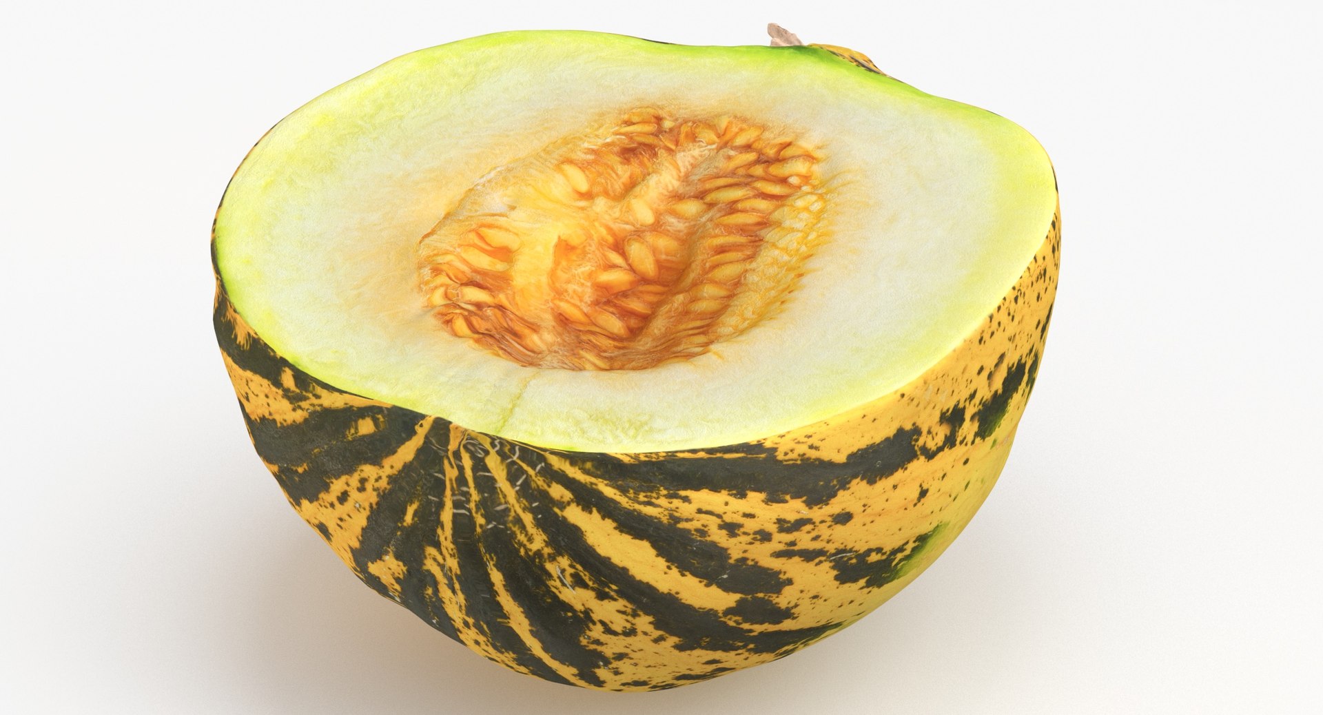 3D Model Turkish Melon 01 Half - TurboSquid 1967268