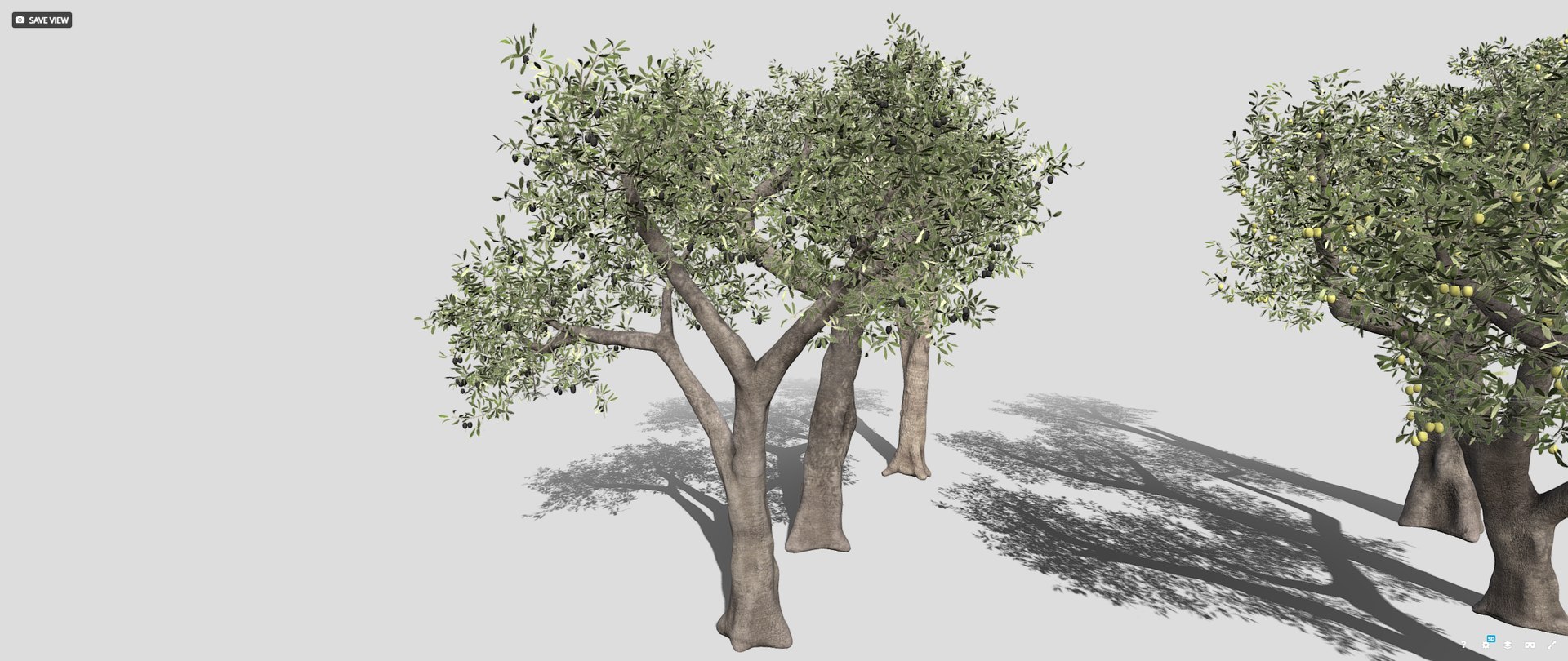 3D Six Olive Trees - TurboSquid 2197218
