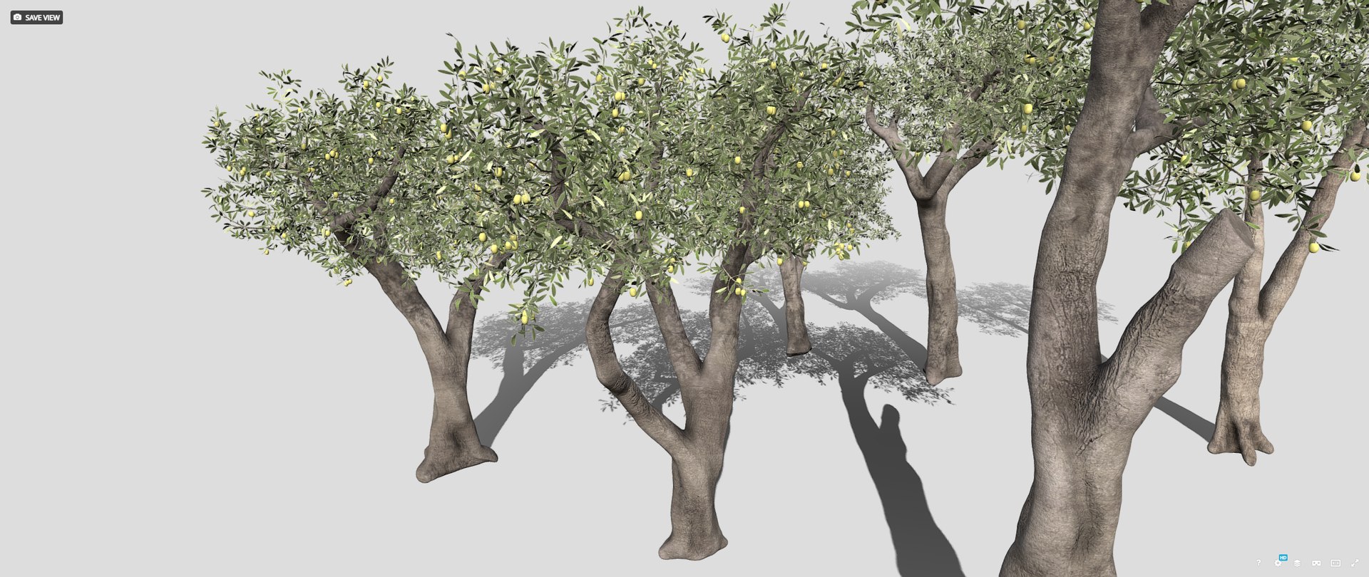 3D Six Olive Trees - TurboSquid 2197218