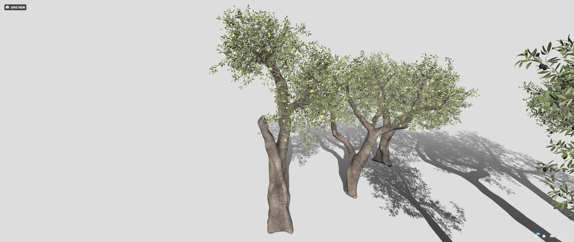 3D Six Olive Trees - TurboSquid 2197218