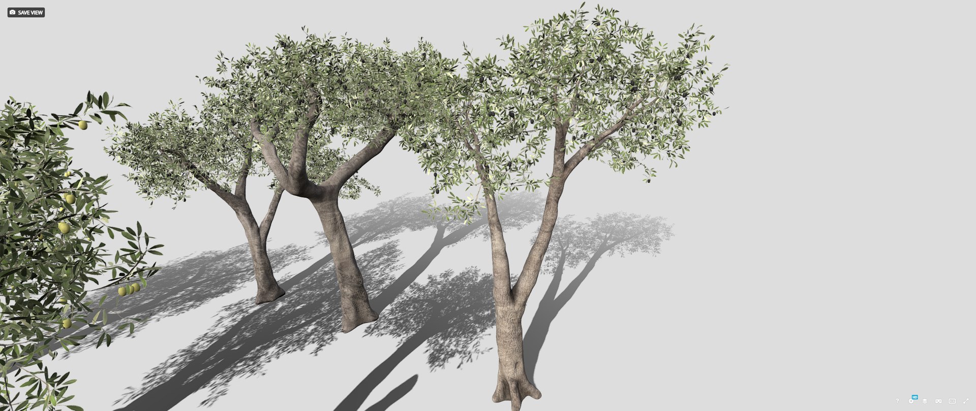 3D Six Olive Trees - TurboSquid 2197218