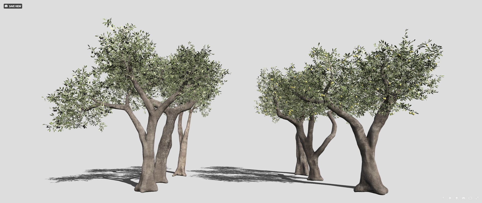 3D Six Olive Trees - TurboSquid 2197218