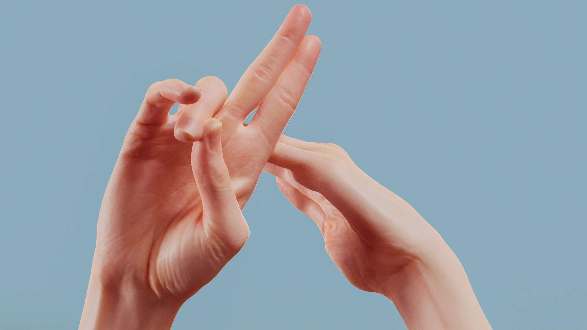 3D 19 Duo Female Hand Poses Model - TurboSquid 2200491