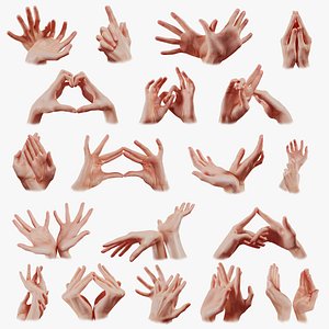 Anatomy 3D Models for Download | TurboSquid