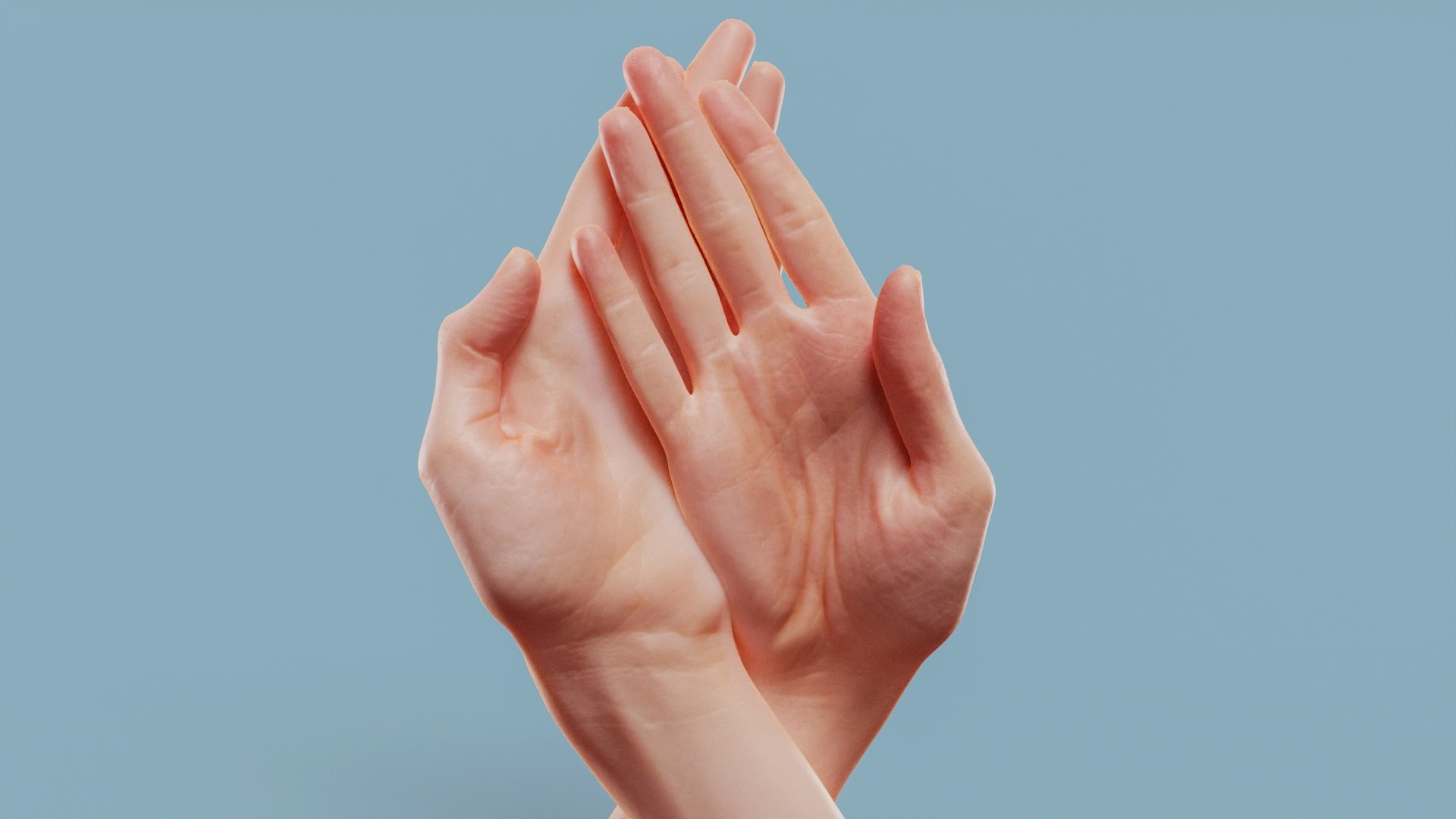 3D 19 Duo Female Hand Poses Model - TurboSquid 2200491