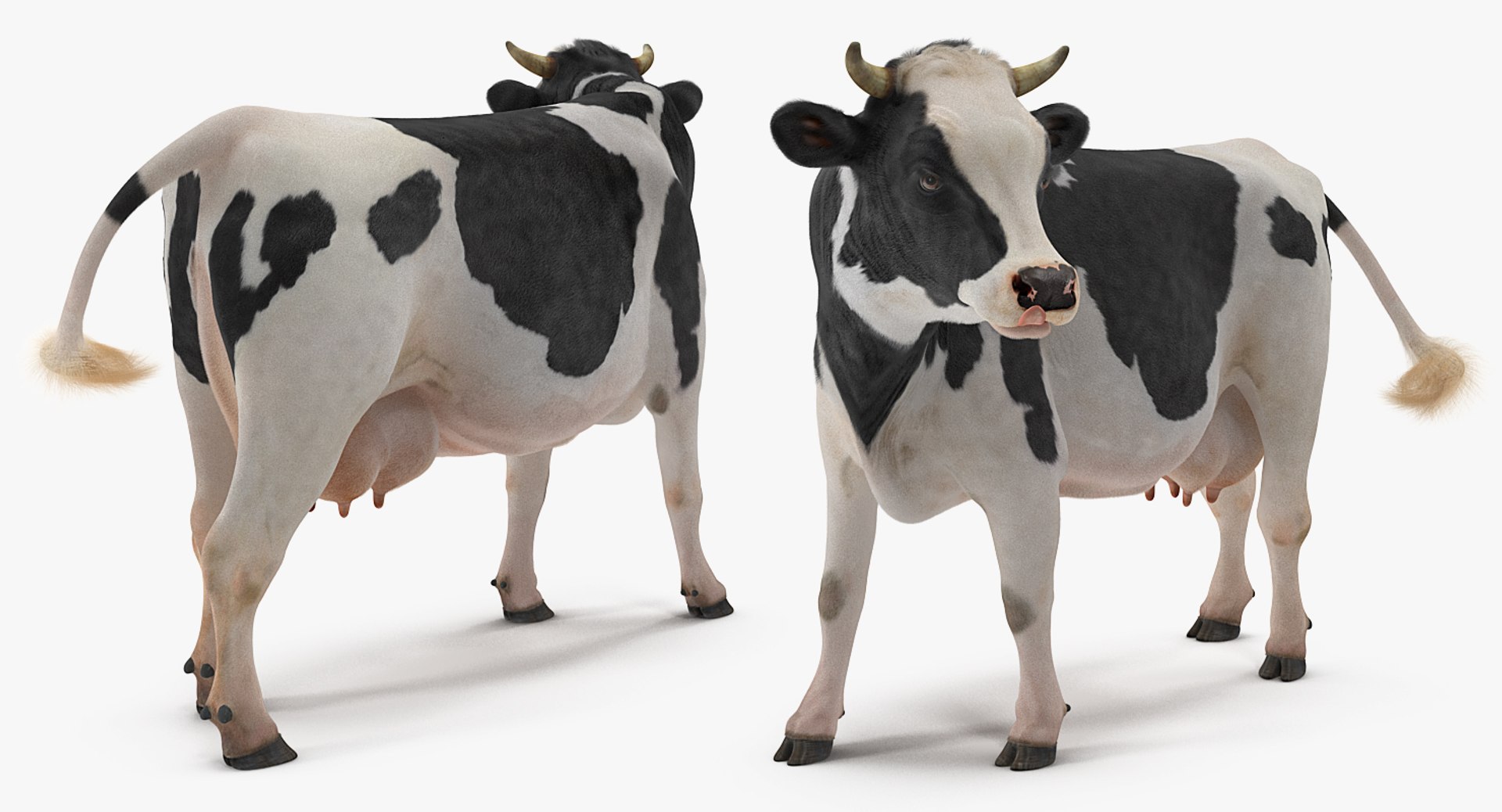 3D grass eating cow animal - TurboSquid 1564271