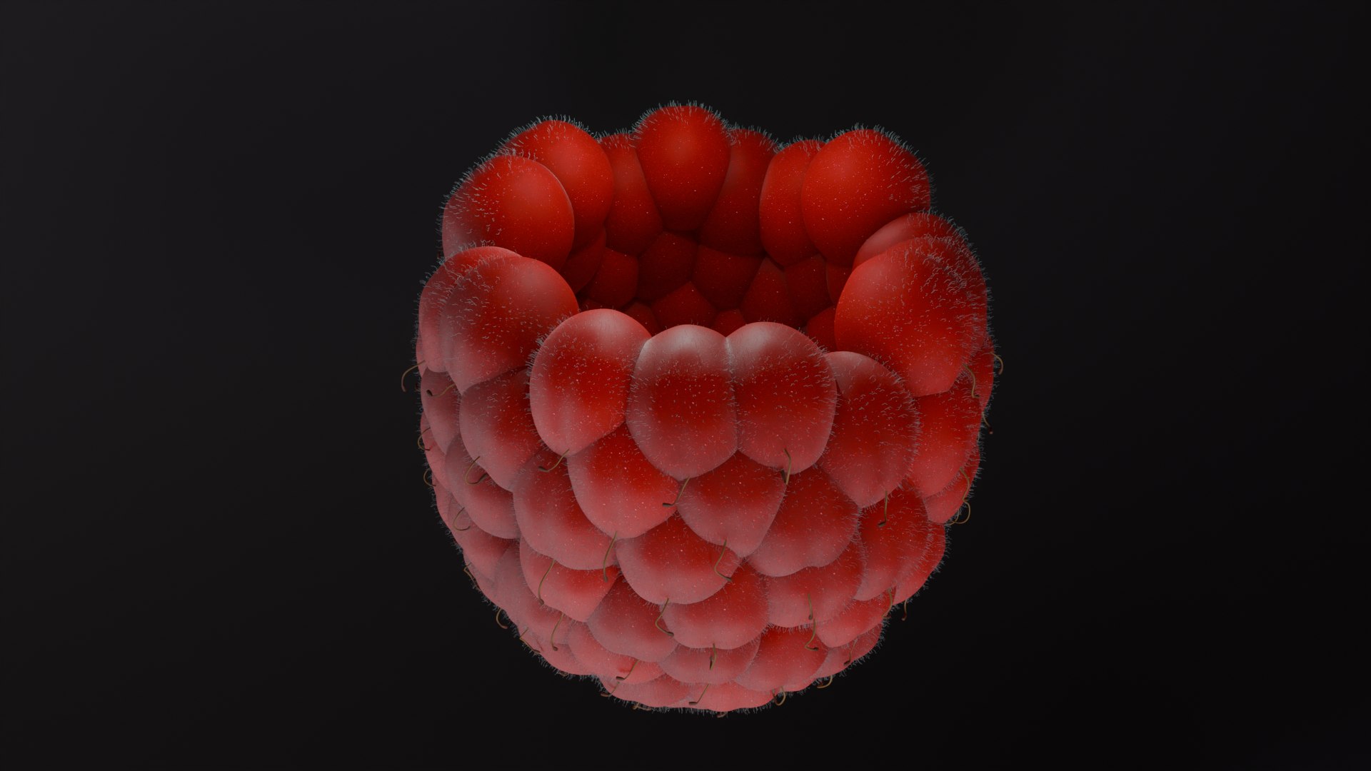 Photorealistic Raspberry 3D Model 3D - TurboSquid 2333057