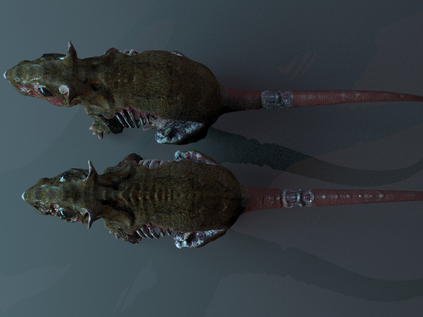 Hungry Rat Zombie 3D Model - TurboSquid 1506260