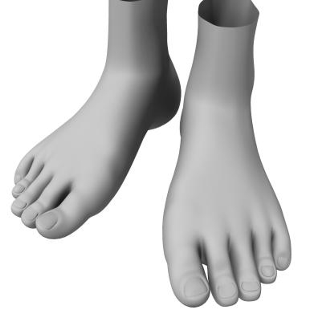 feet foot 3d model