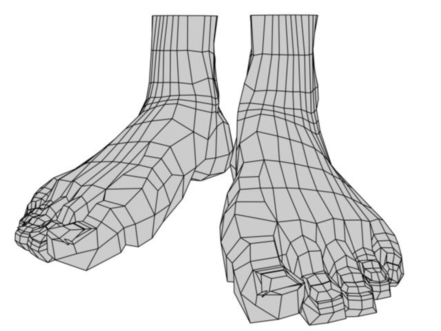 feet foot 3d model