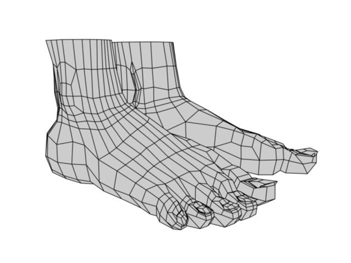 feet foot 3d model