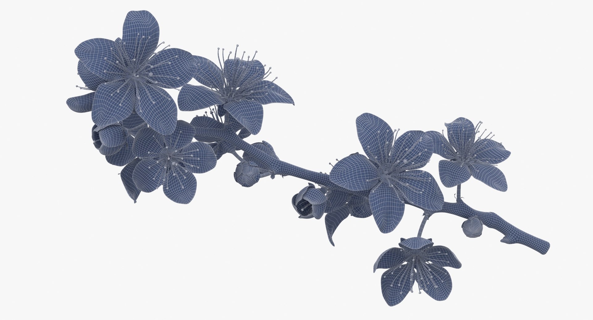 Prop 18 Cherry blossom Single Flower 3D model - TurboSquid 2146765