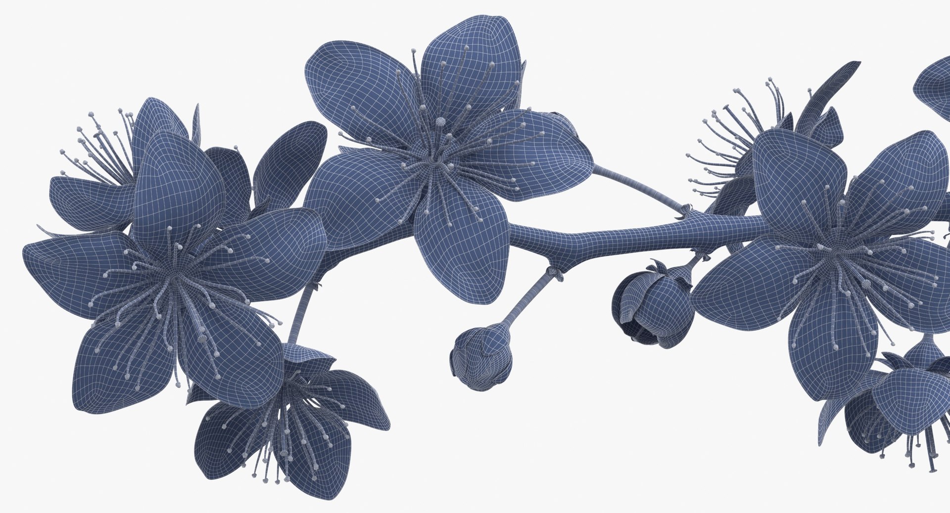Prop 18 Cherry blossom Single Flower 3D model - TurboSquid 2146765