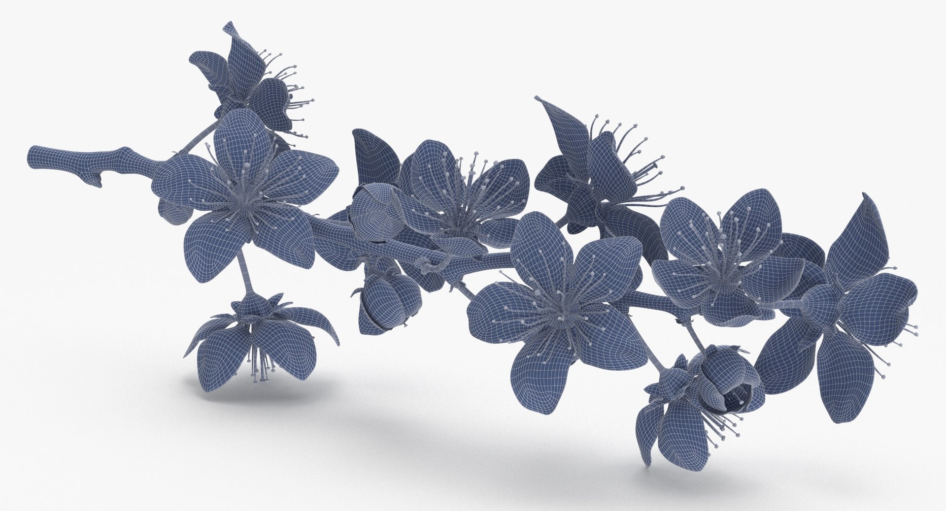 Prop 18 Cherry blossom Single Flower 3D model - TurboSquid 2146765