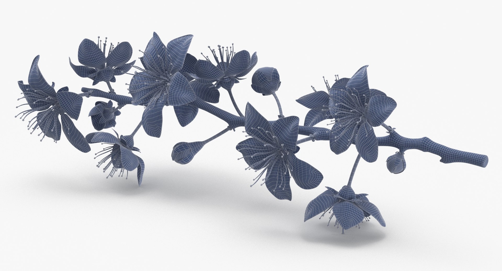 Prop 18 Cherry Blossom Single Flower 3D Model - TurboSquid 2146765