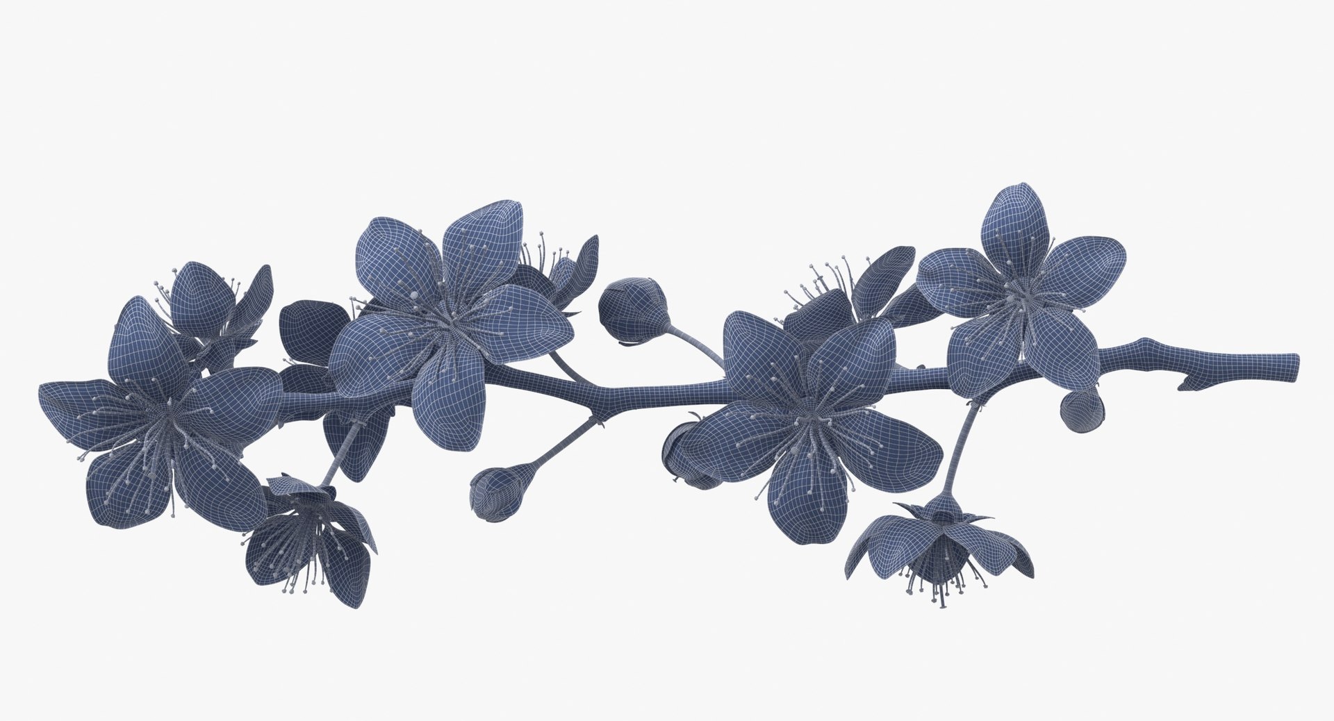 Prop 18 Cherry blossom Single Flower 3D model - TurboSquid 2146765
