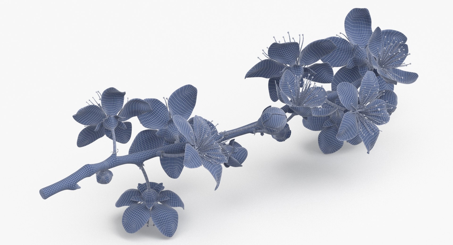 Prop 18 Cherry blossom Single Flower 3D model - TurboSquid 2146765