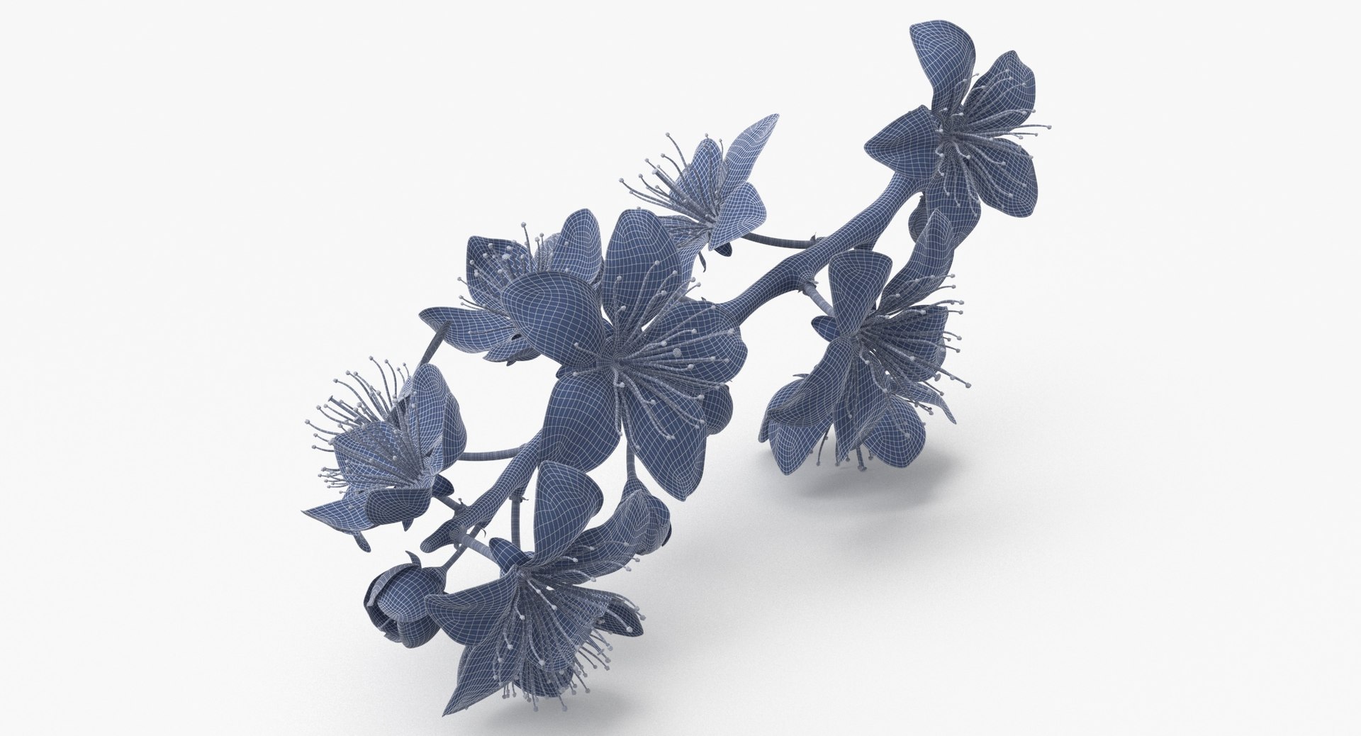 Prop 18 Cherry blossom Single Flower 3D model - TurboSquid 2146765