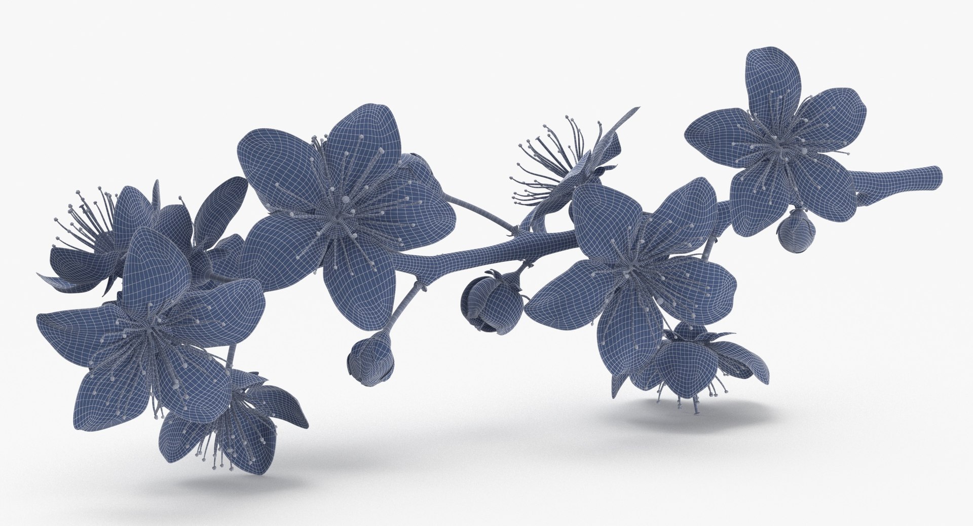 Prop 18 Cherry blossom Single Flower 3D model - TurboSquid 2146765