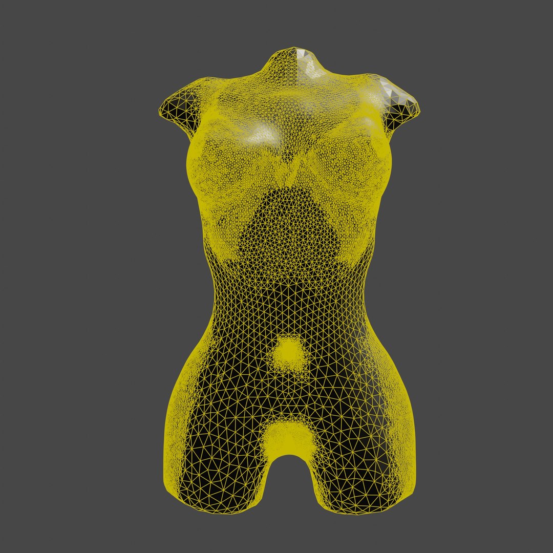 3D Plastic Female Torso Mannequin - TurboSquid 2246744