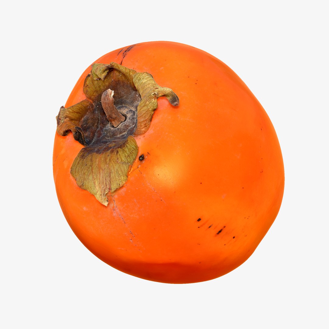 3d persimmon cleaned retopologized scan