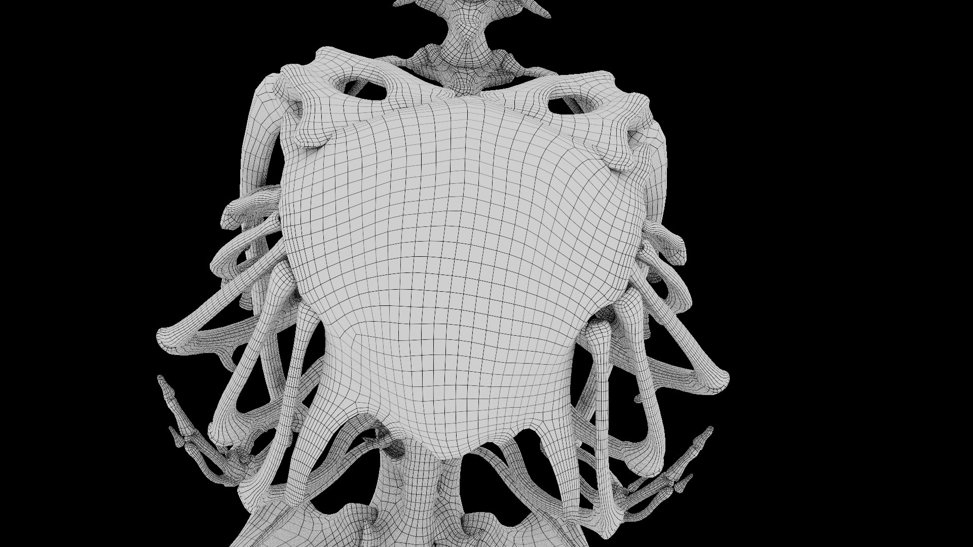 Ostrich Skeleton 3D Model - TurboSquid 2042994