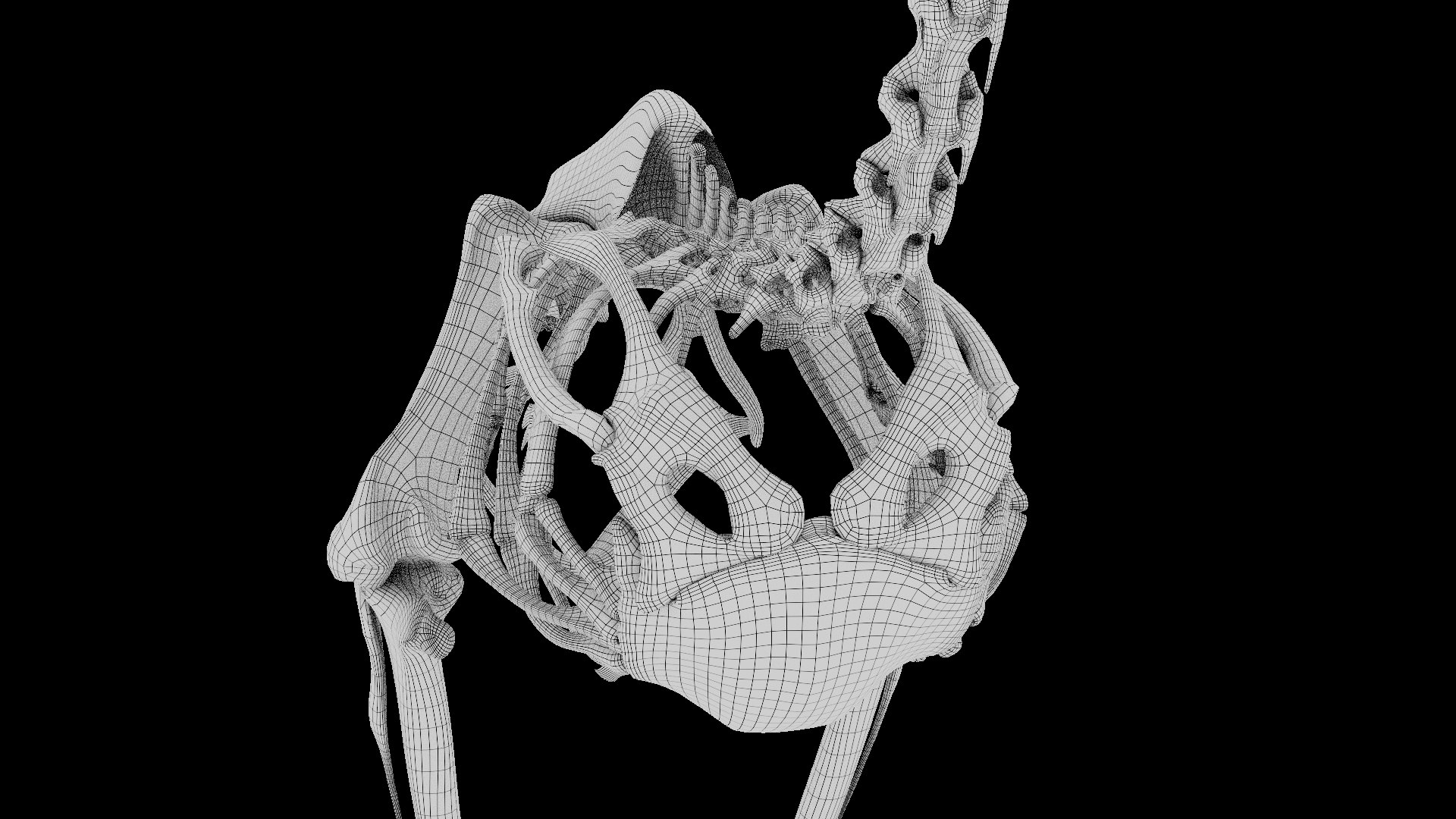 Ostrich Skeleton 3D Model - TurboSquid 2042994