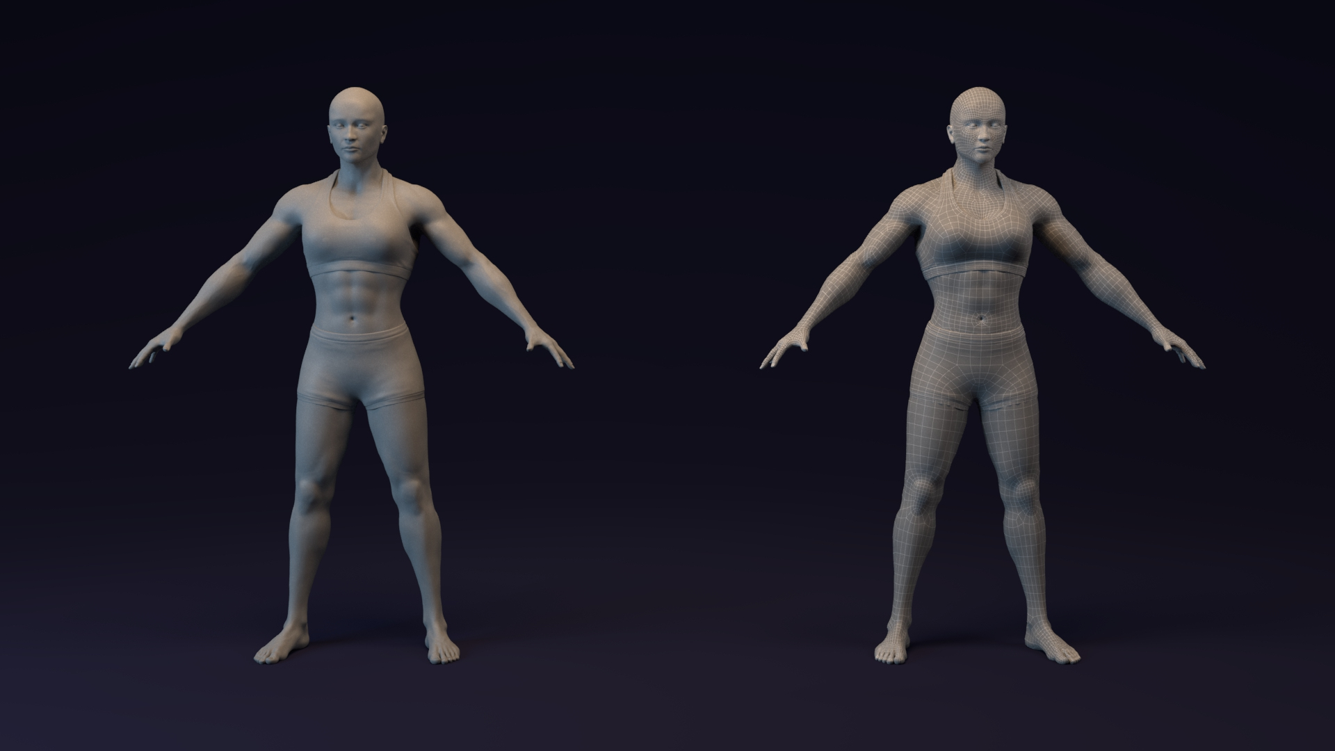 modelo 3d Basemesh Muscular Femenina - TurboSquid 1734596