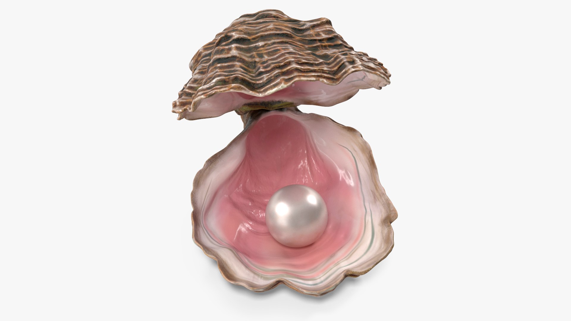 pearl inside shell