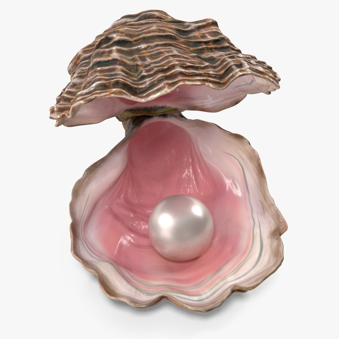 open shell with pearl inside