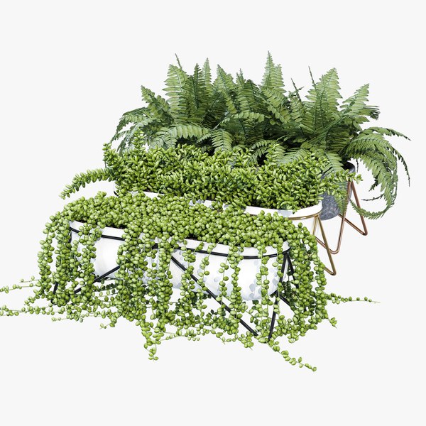 3D tabletop model - TurboSquid 1656048