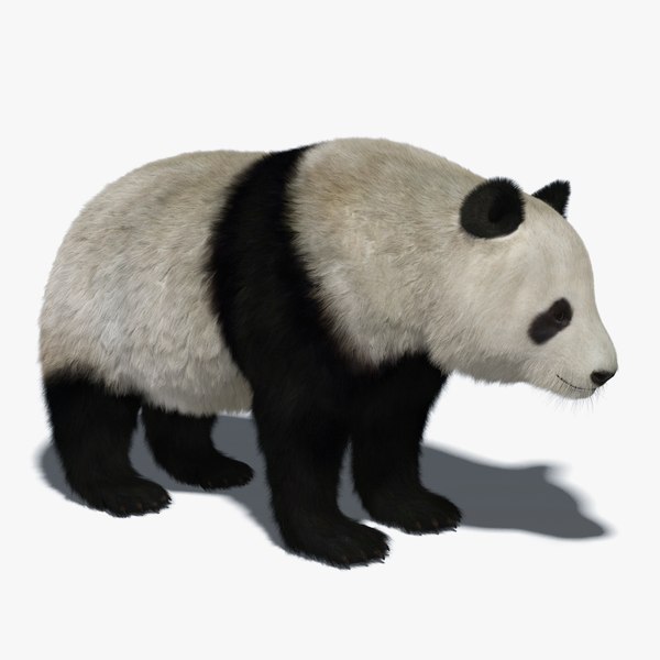 modelo 3d Panda gigante (piel) - TurboSquid 1159921