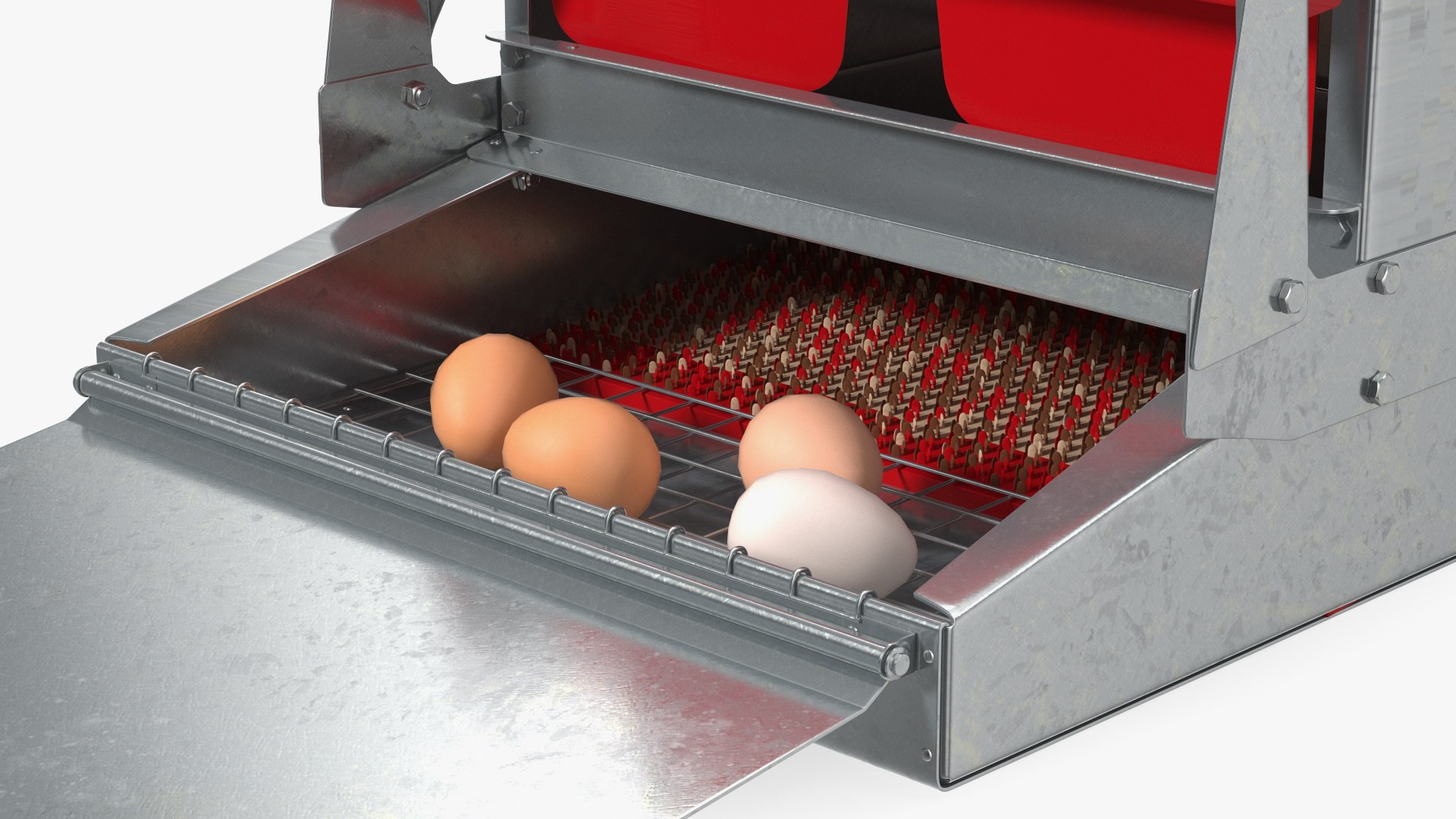 3D model Small Reversible Rollaway Nest Box with Eggs - TurboSquid 1812167