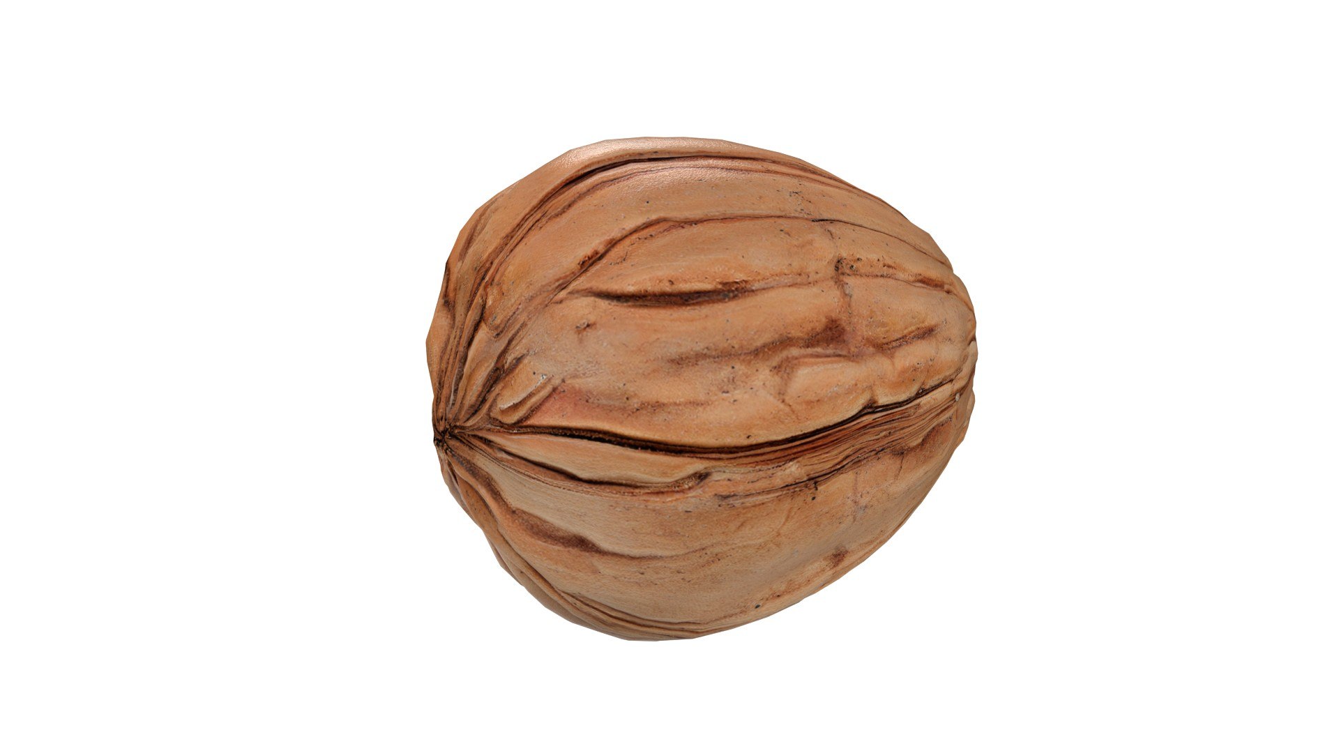 Walnut V1 Model - TurboSquid 2397142