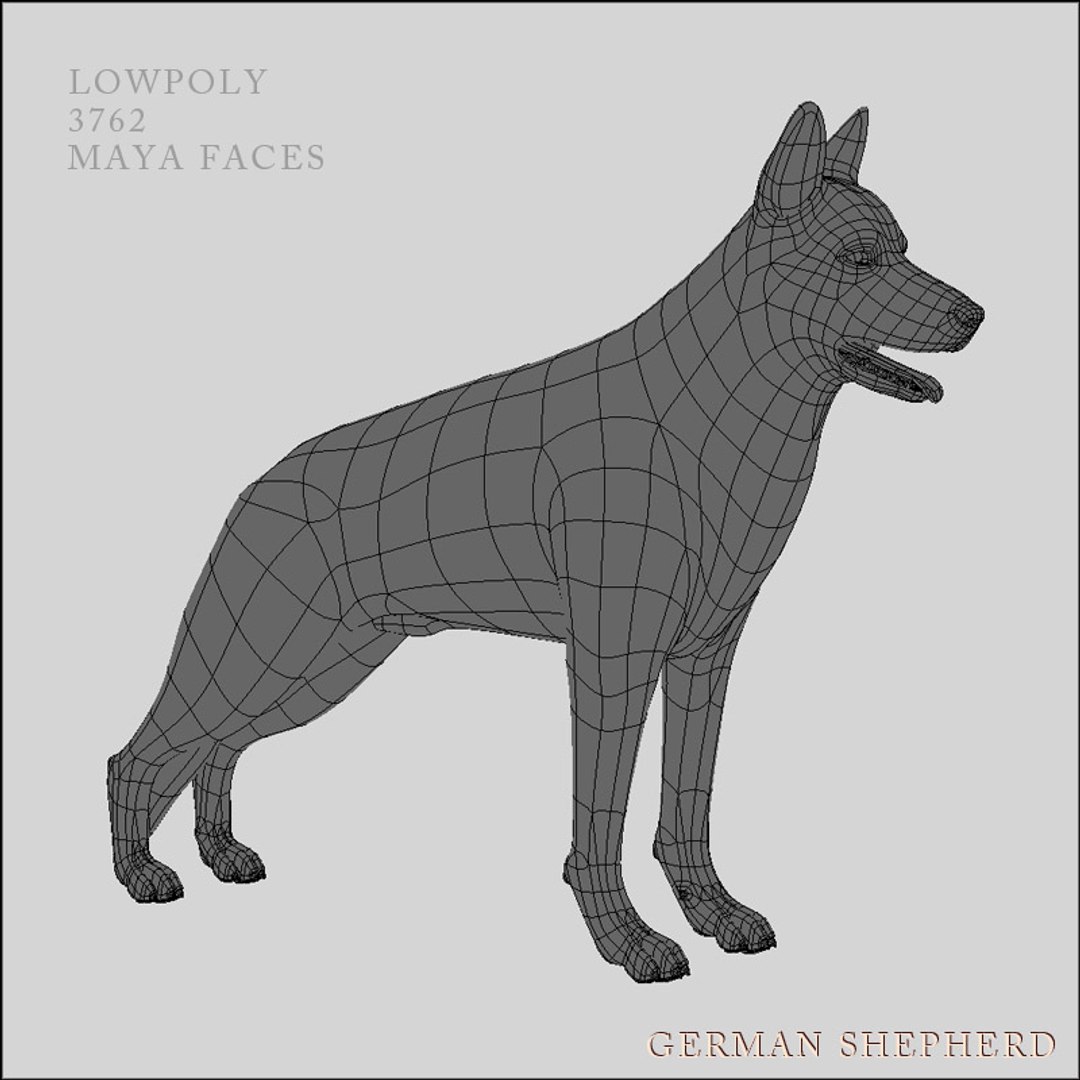 German Shepherd 3d Model