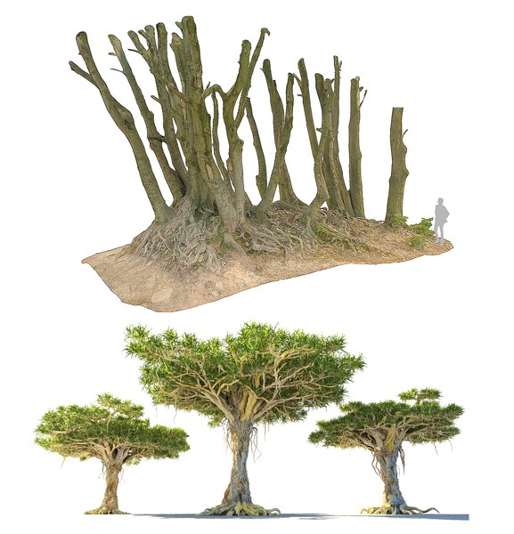 Free 3D Unity-Asset Models | TurboSquid