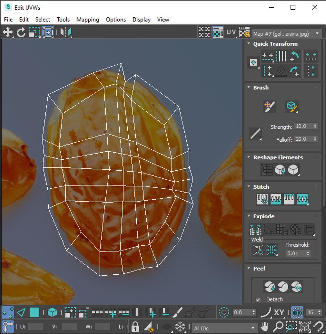 3D Raisin - TurboSquid 1852272