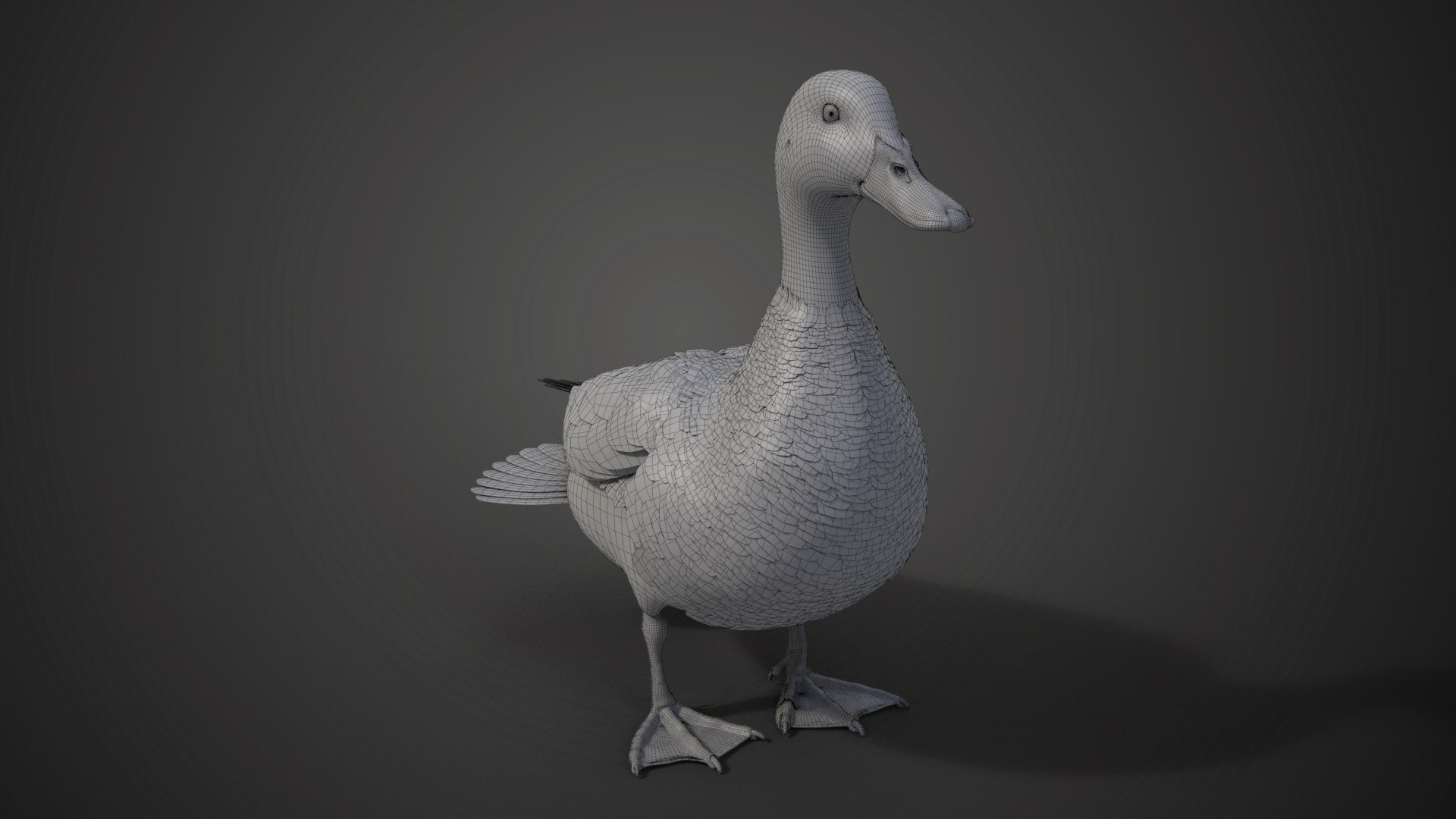Male Mallard Animation 3D model - TurboSquid 2071116
