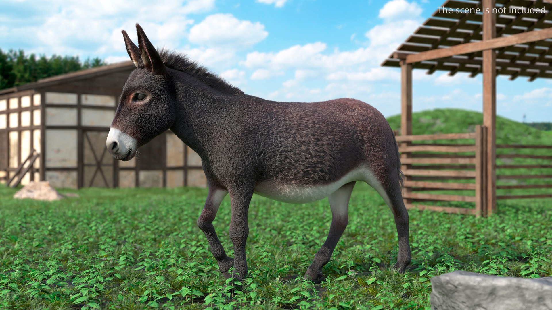 Walking Domestic Donkey Fur Animated Rigged For Blender 3D Model ...