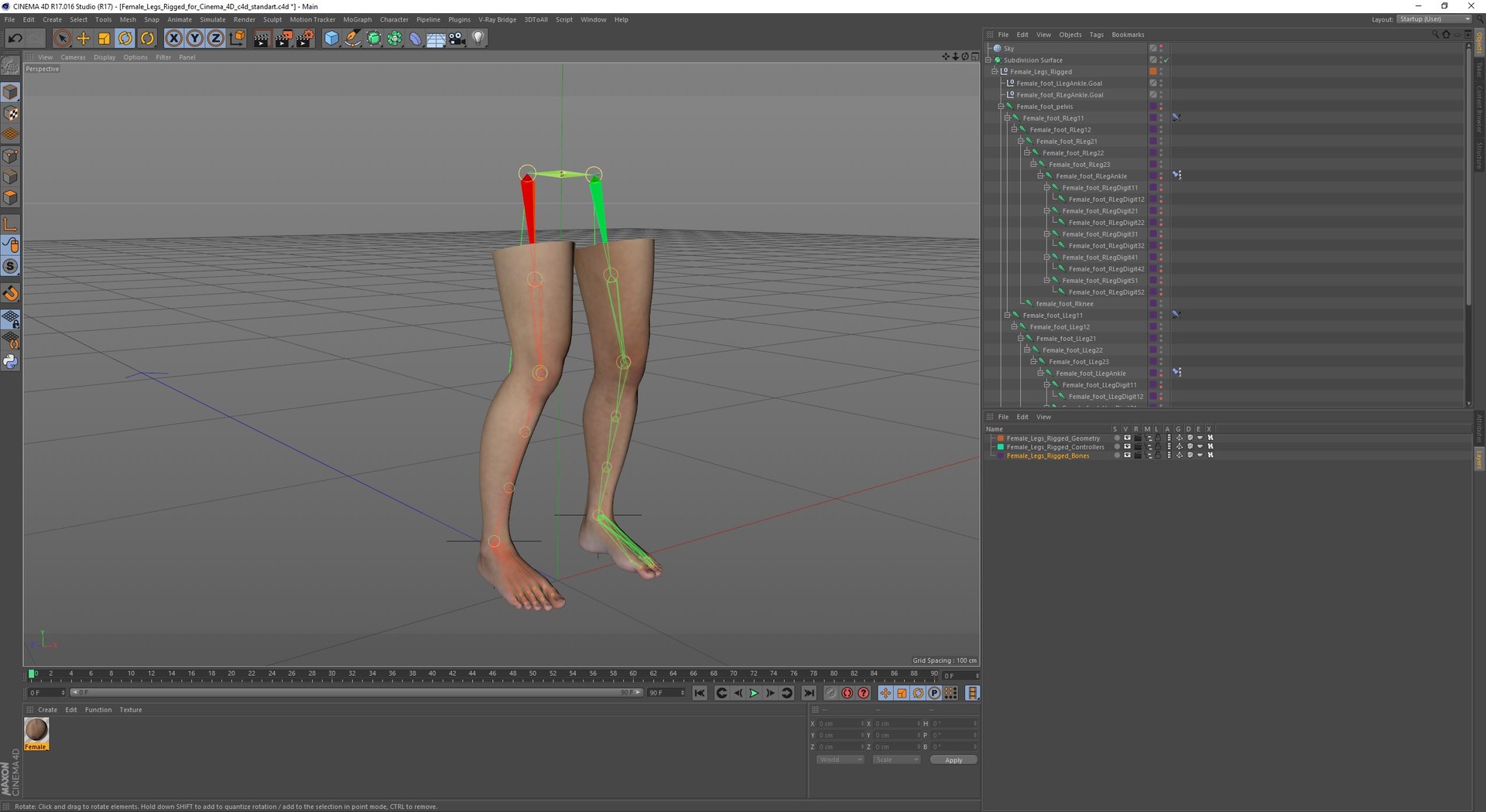 3D Model Female Legs Rigged For Cinema 4D - TurboSquid 2287278