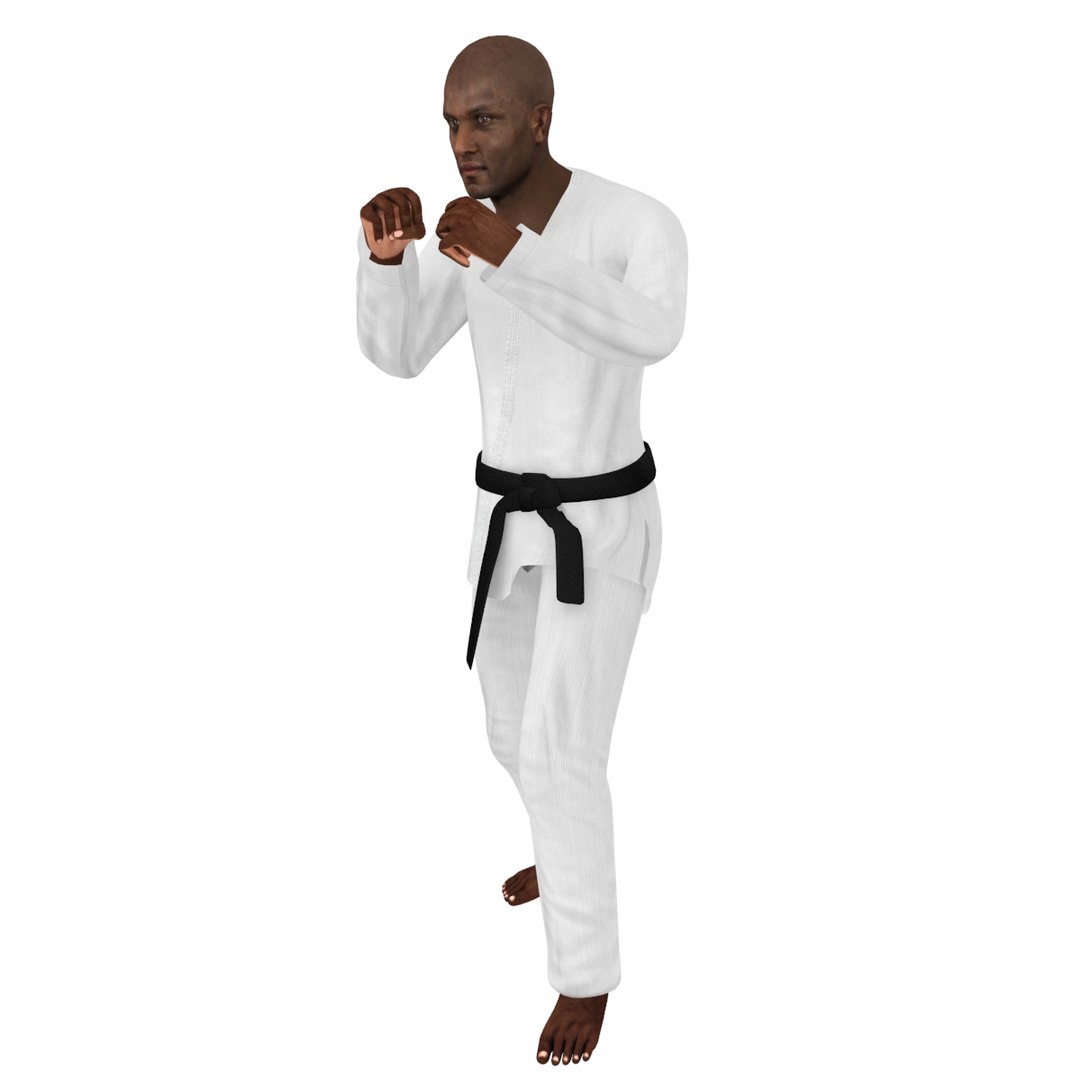 3D Rigged Karate 4 Model - TurboSquid 1361131