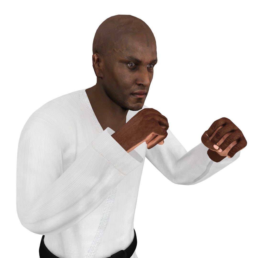 3D Rigged Karate 4 Model - TurboSquid 1361131