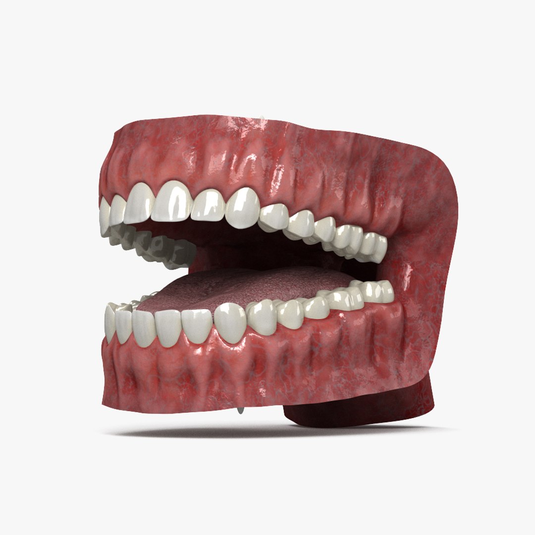 Human Mouth 3D 모델 - TurboSquid 2083466